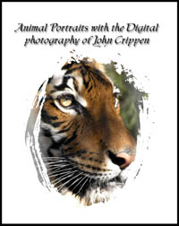 Author And Photographer John Crippen Releases 'Animal Portraits With ...